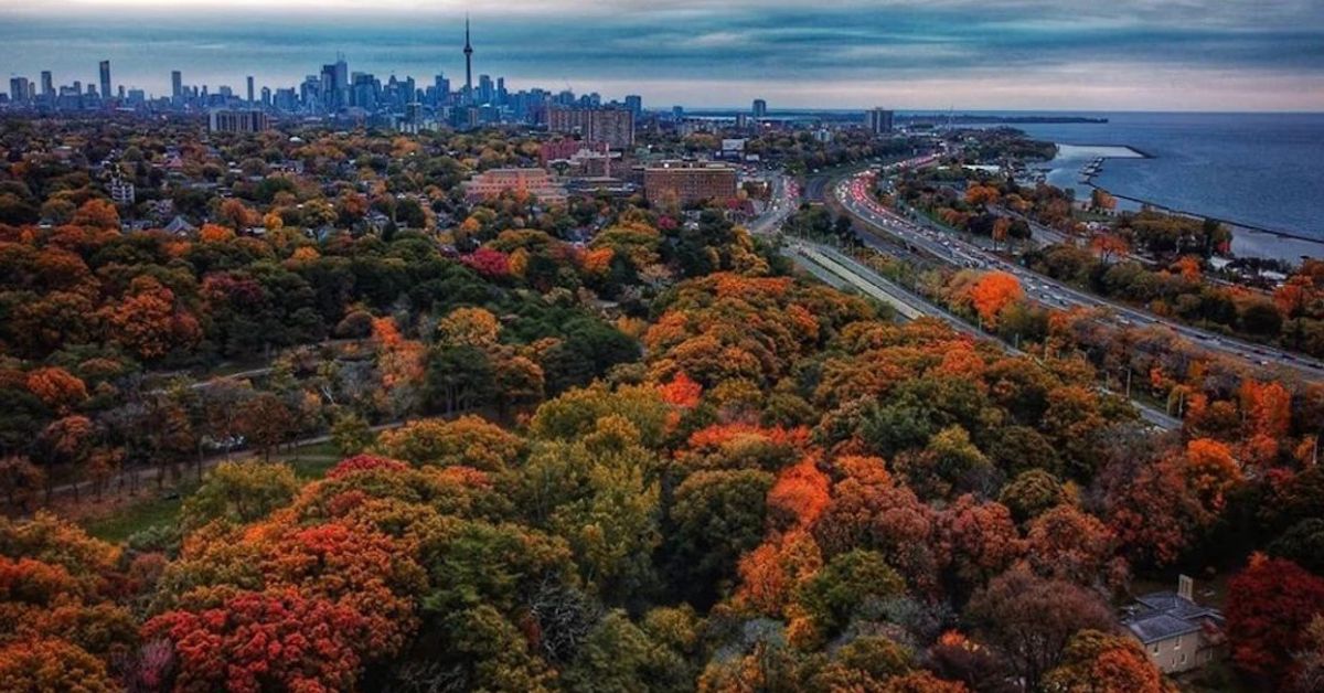 Fall Views in Toronto Downtown