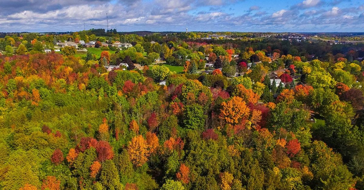 Fall Views in Toronto Downtown